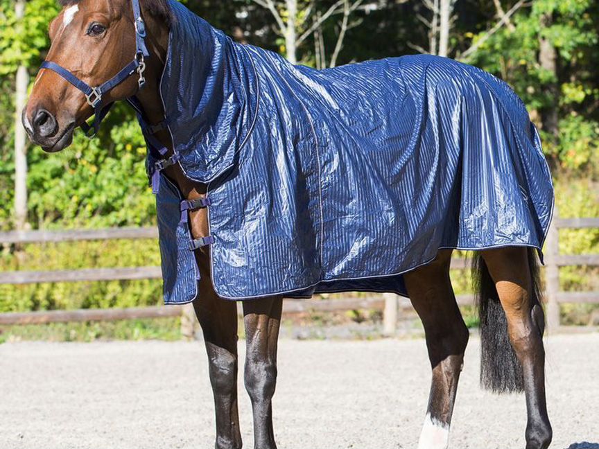 Попона, шамбон для лошади