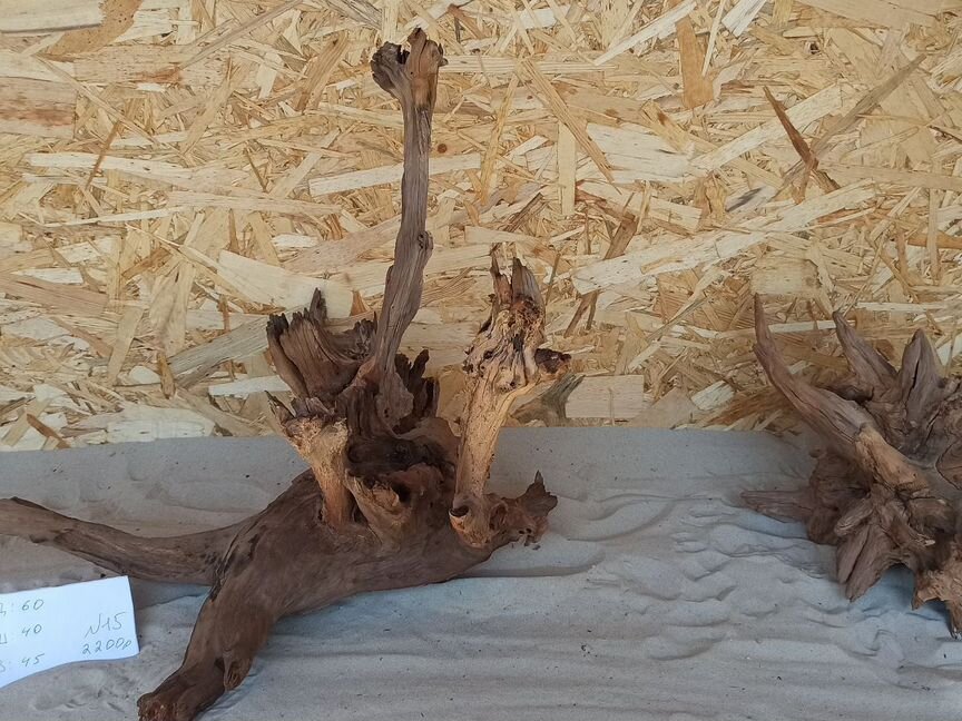 Красивые Коряжки