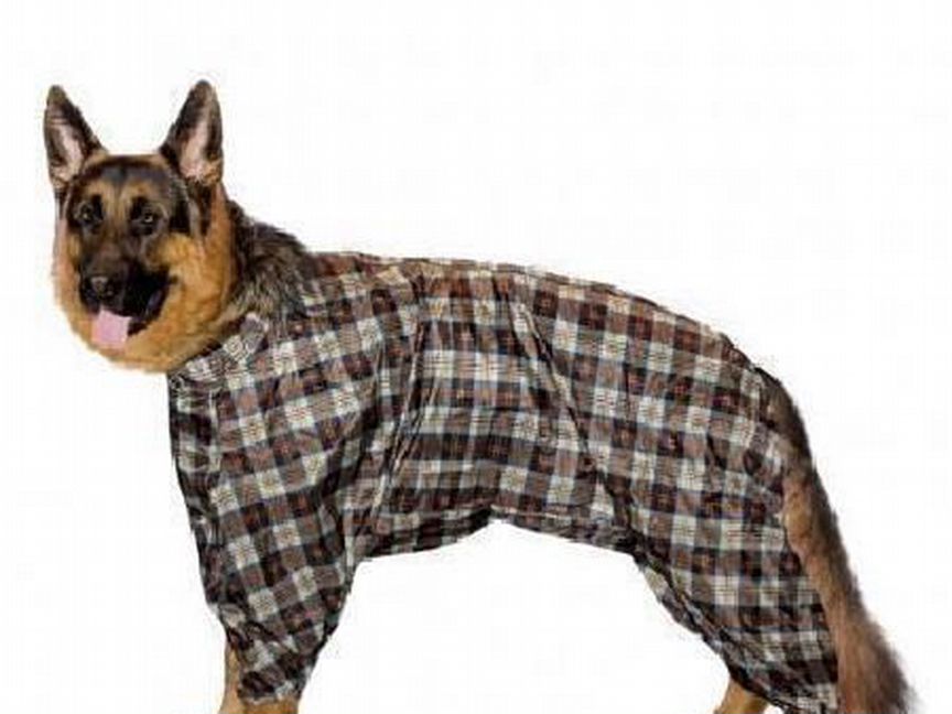 Комбинезон №21 болонь Овчарка гамма