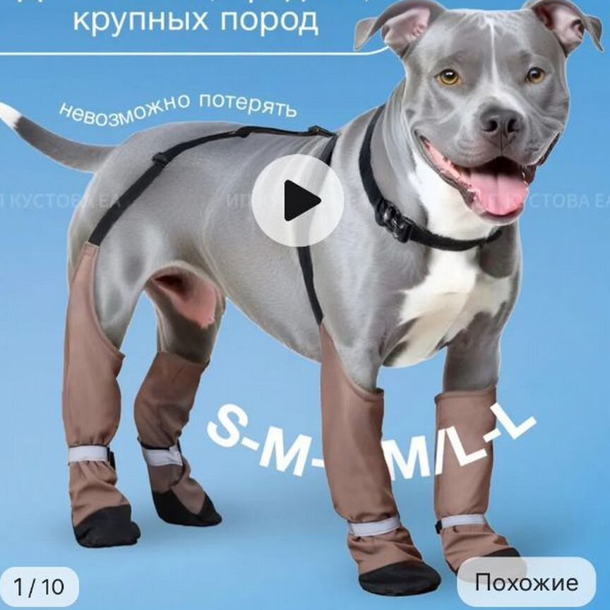 Обувь для собак