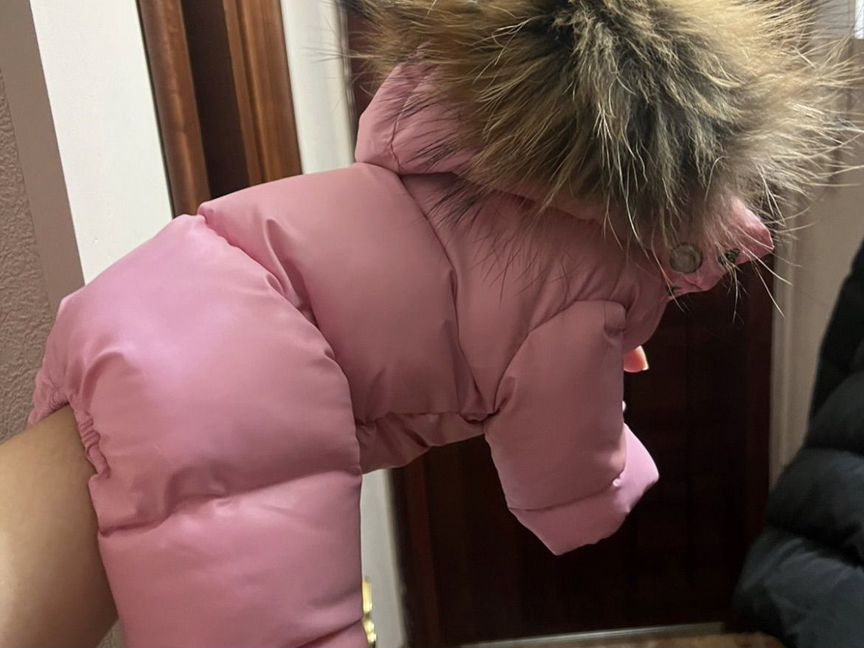 Зимний комбинезон Limargy