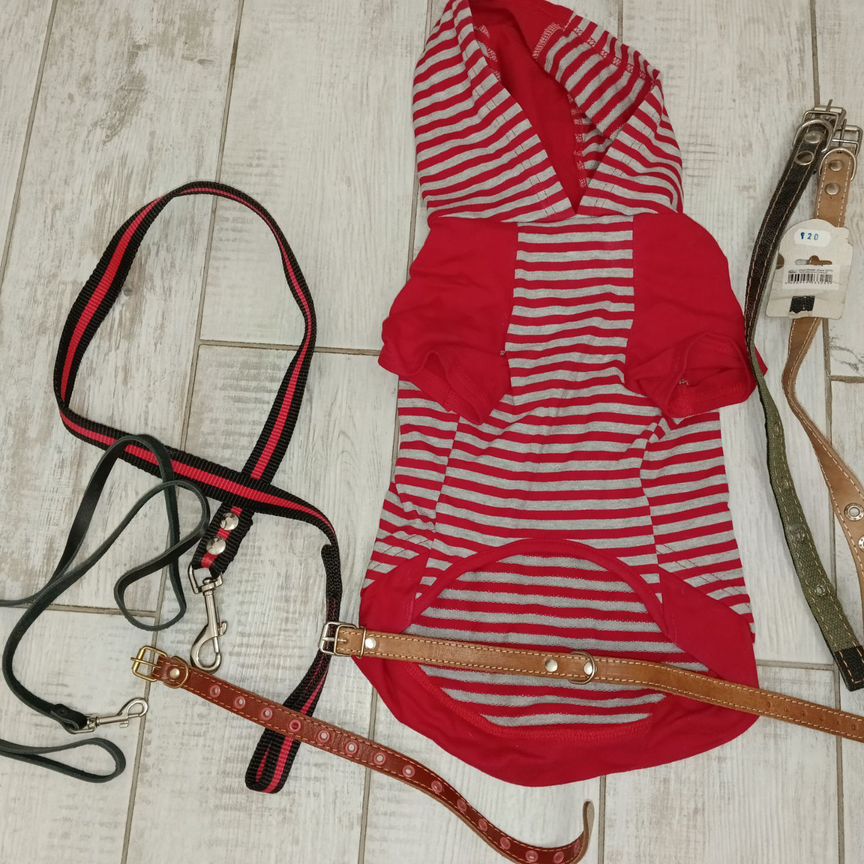 Товары для животных ошейник поводок