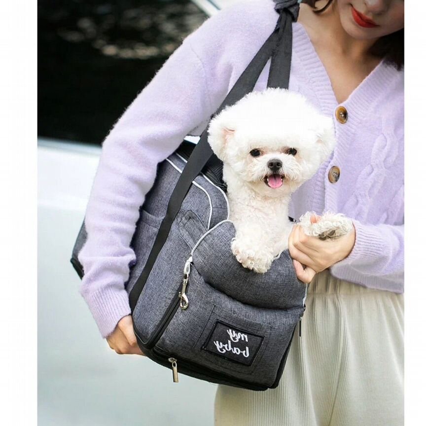 Автокресло/переноска для щенков и мелких собак