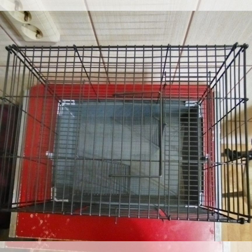 Клетка для грызунов маленькая