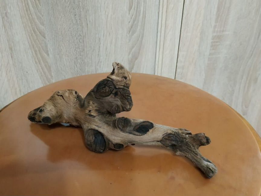 Коряга мангровая в аквариум