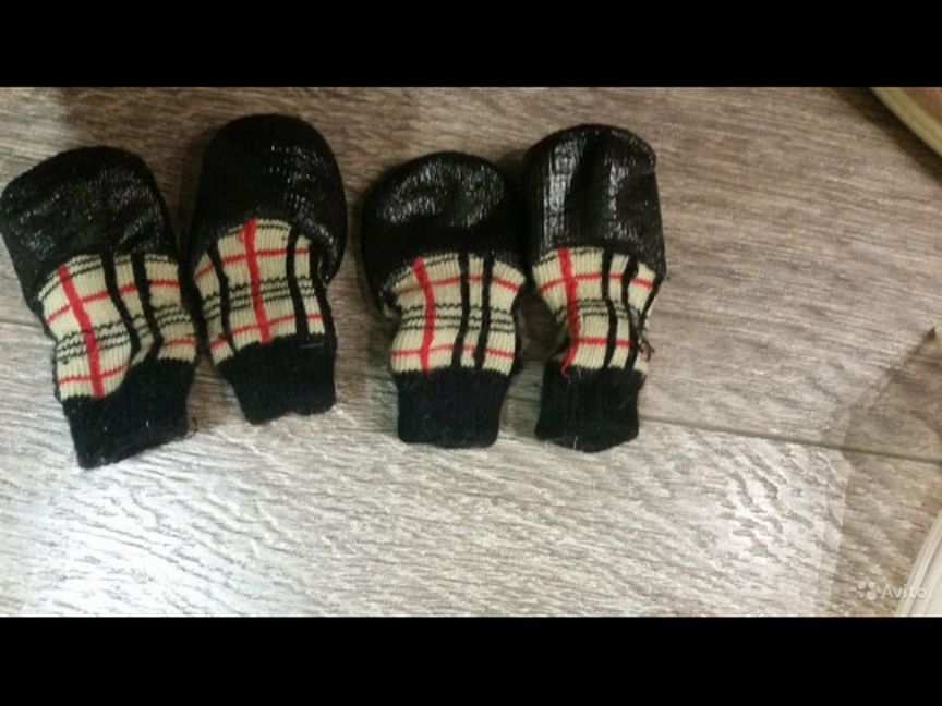 Одежда для собак мини,Обувь для собак.Колтунорез