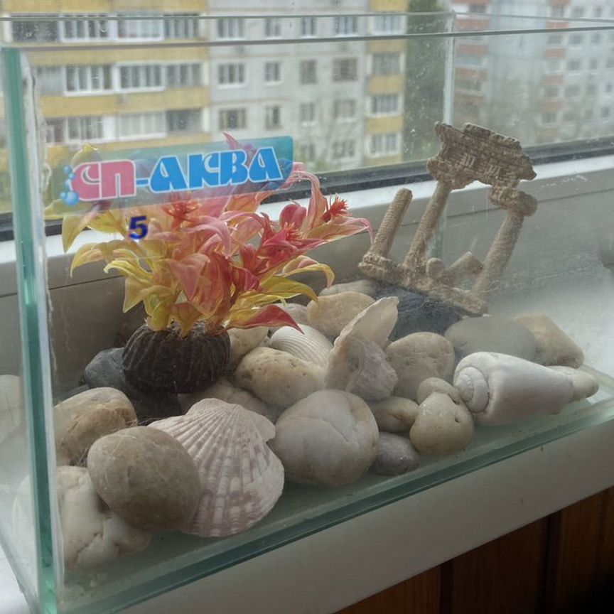 Аквариум маленький