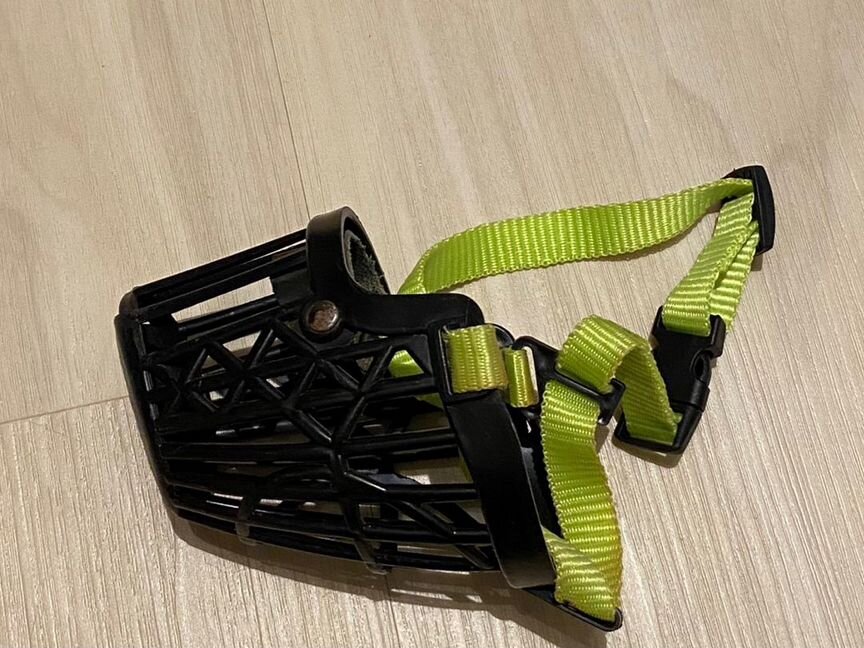 Намордник и фрисби для собак