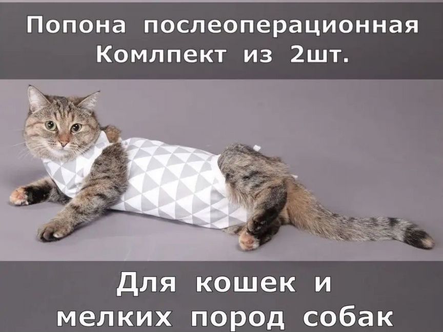 Послеоперационная попона для кошек и мелких собак