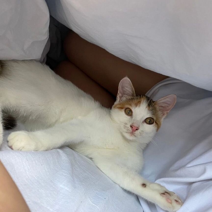 Девочка богатка