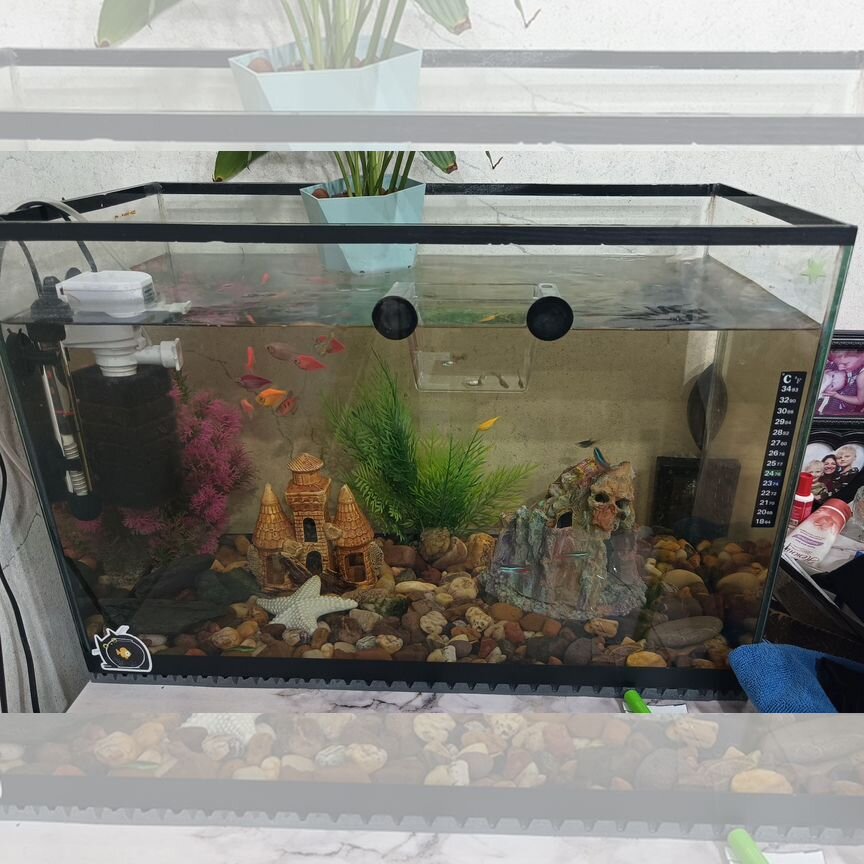 Аквариум со всем оборудованием, рыбками и химией