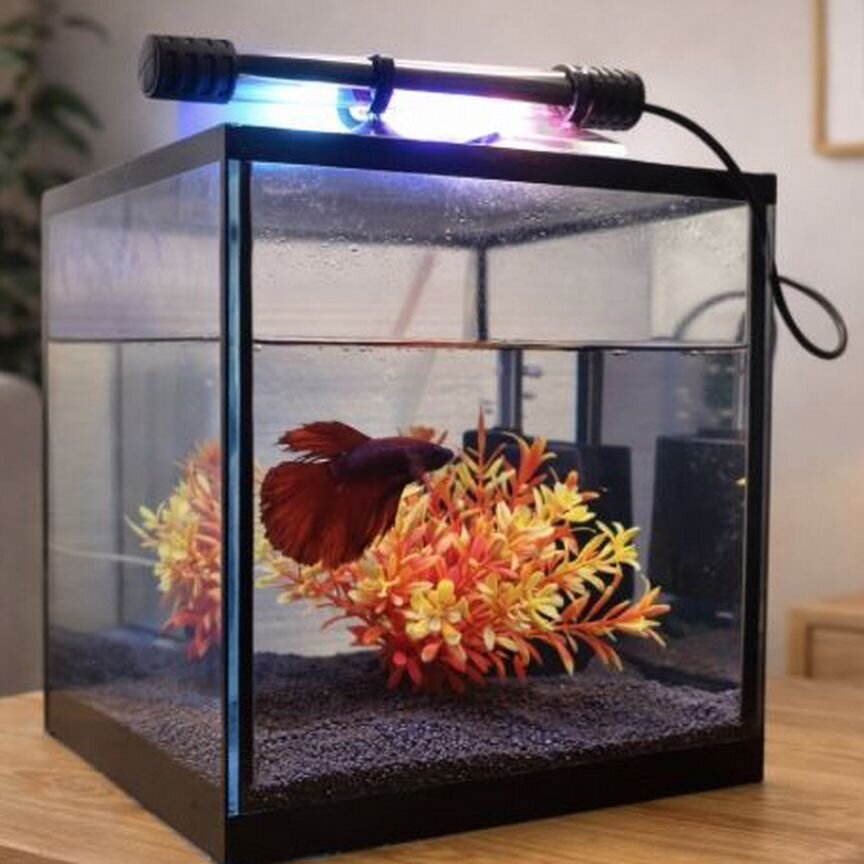 Аквариум готовый с рыбкой петушок