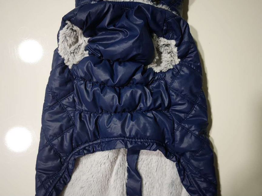 Плащ, пальто, одежда для собак