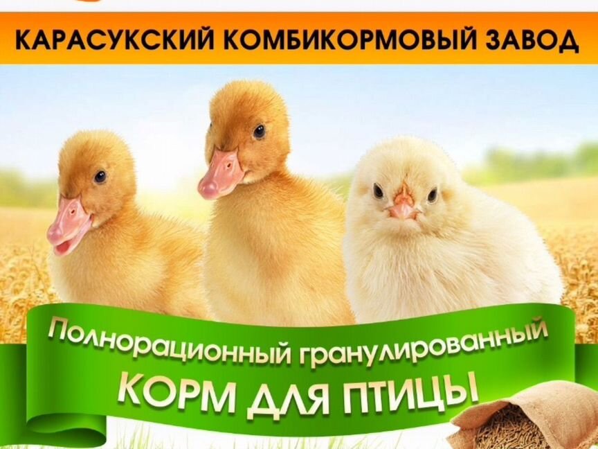 Комбикорм для несушки цыплят уток гусей индюков
