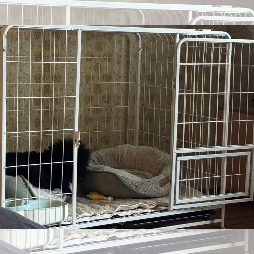 Клетка для собак