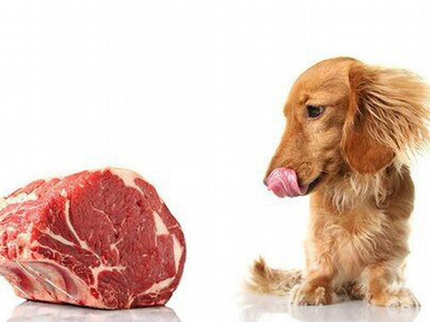 Мясо для собак и других животных