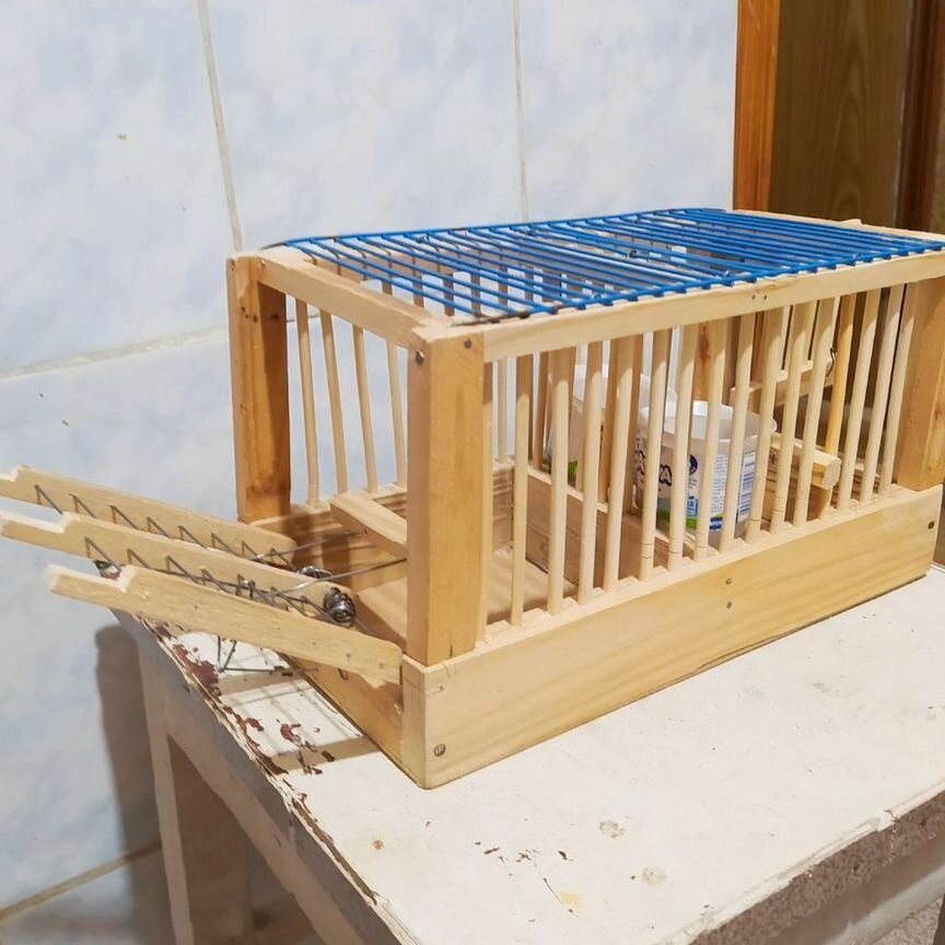 Западок для ловли птиц