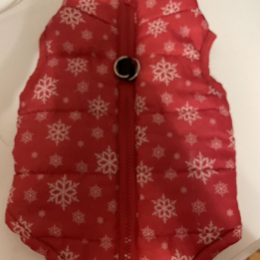 Жилетка для собак