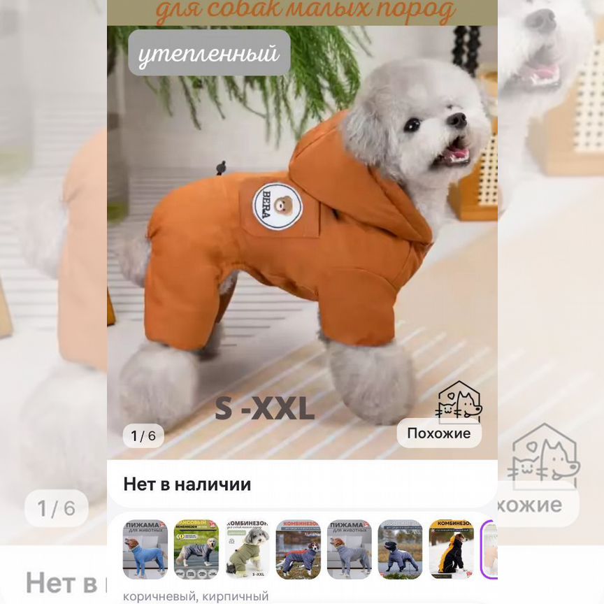 Одежда для собак средних
