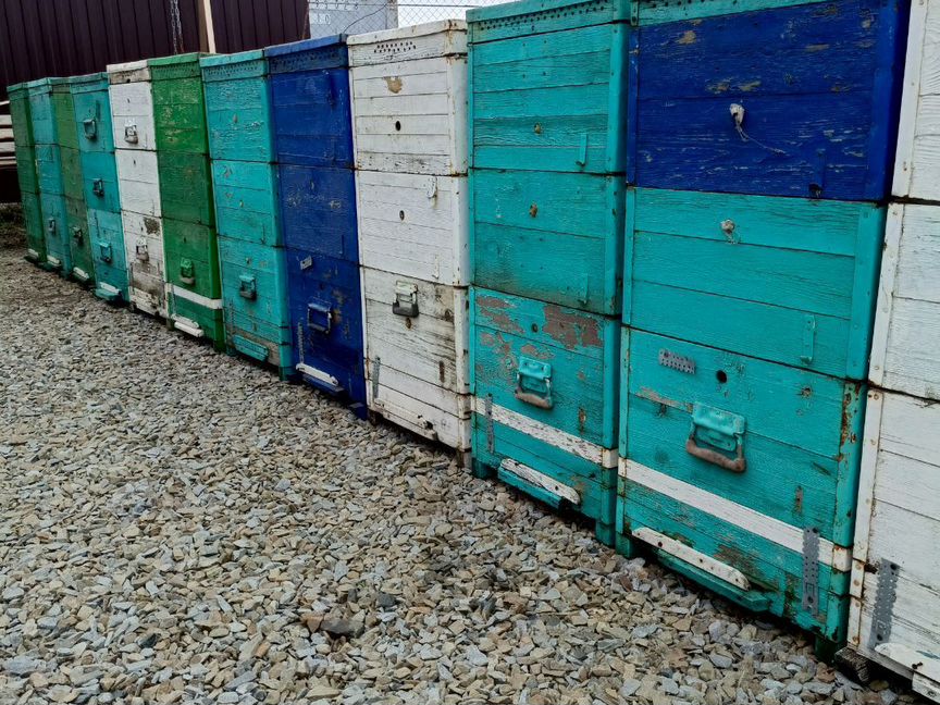 Улики для пчел