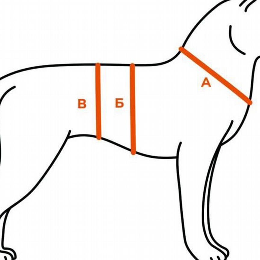 Шейка Бендер Фрай
