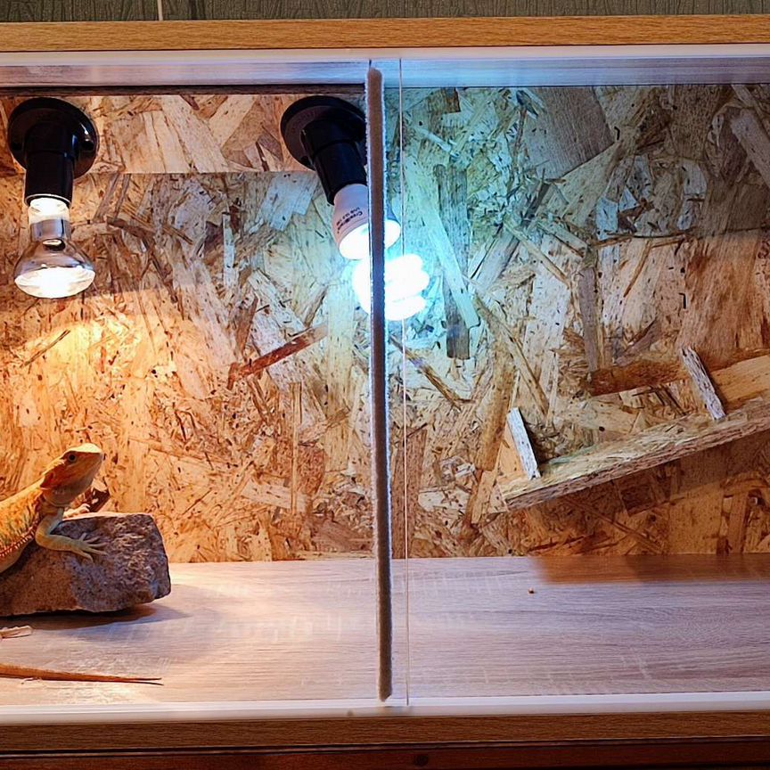 Террариум для рептилий