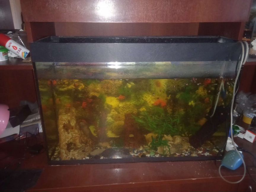 Аквариум с рыбками