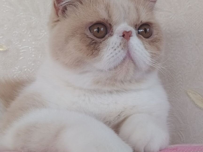 Экзотическая
