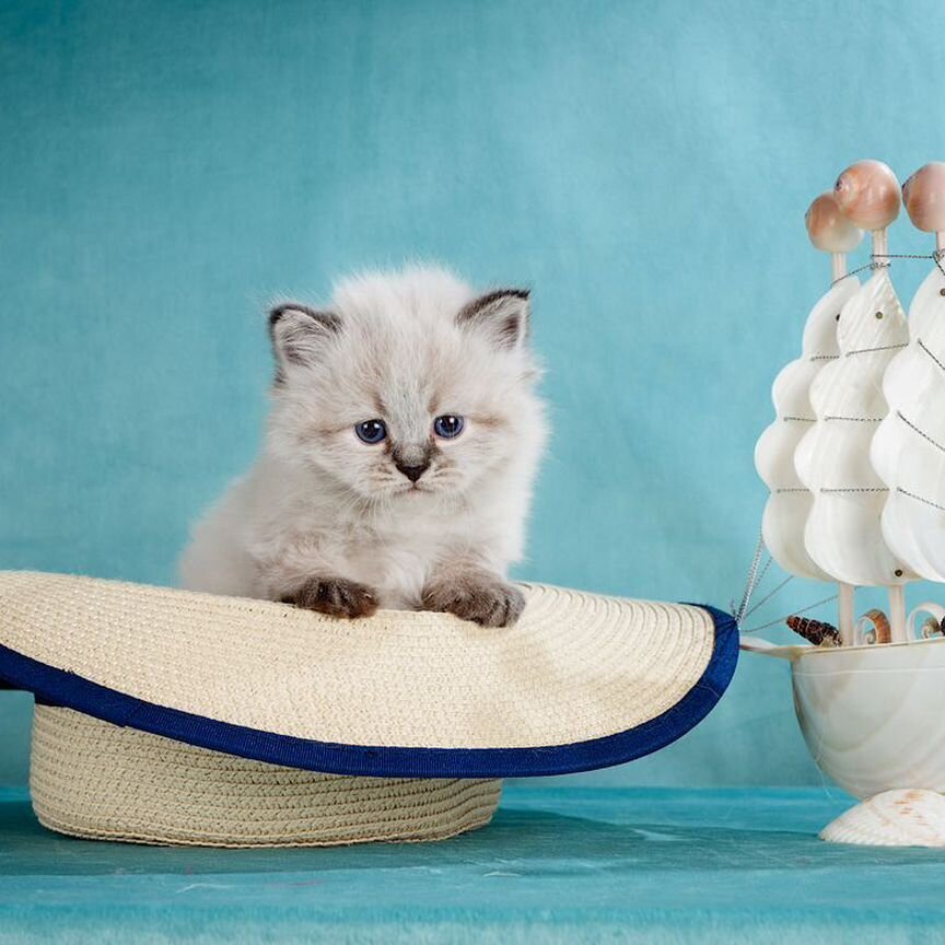 Девочка Ника