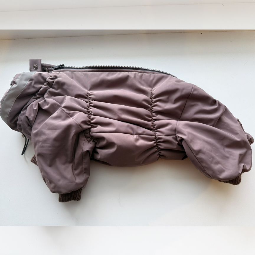 Одежда (комбинезон) для собак Laira