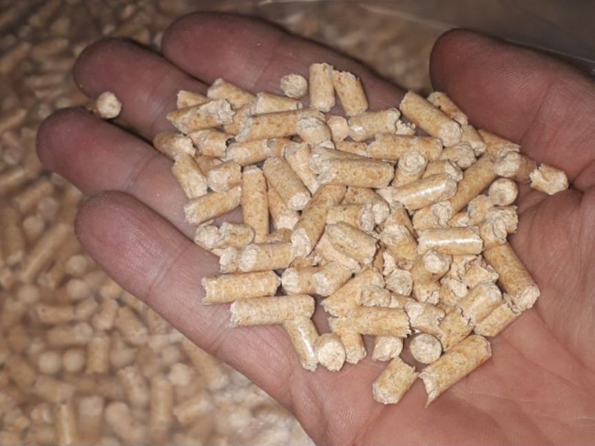 Древесный наполнитель для кошачьего туалета