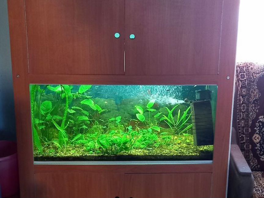 Аквариум с тумбой и рыбками 2 акв по 200л