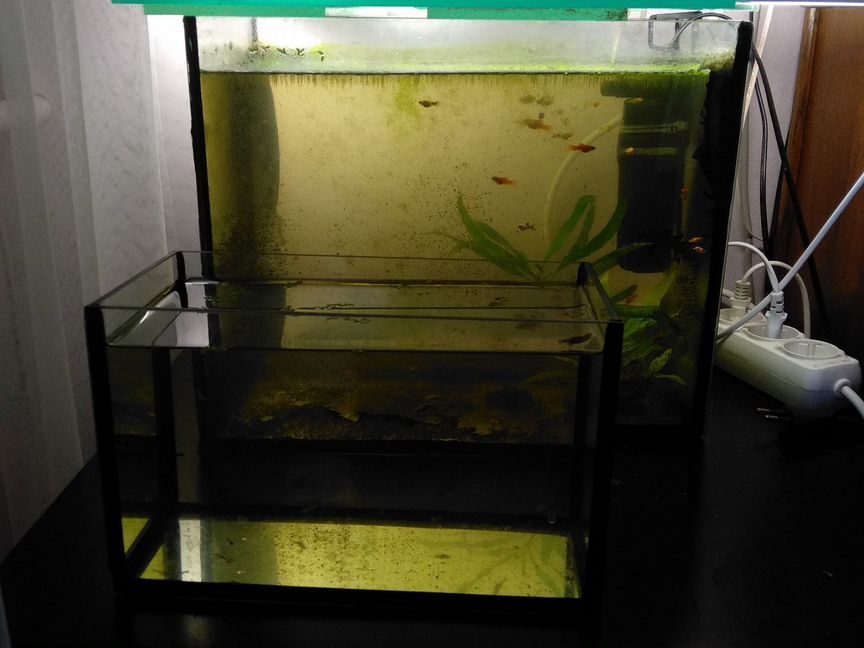 Фильтр для аквариума aquael