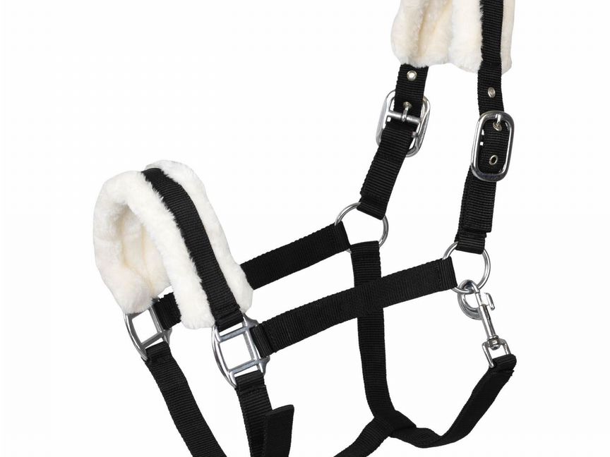 Недоуздок для лошади