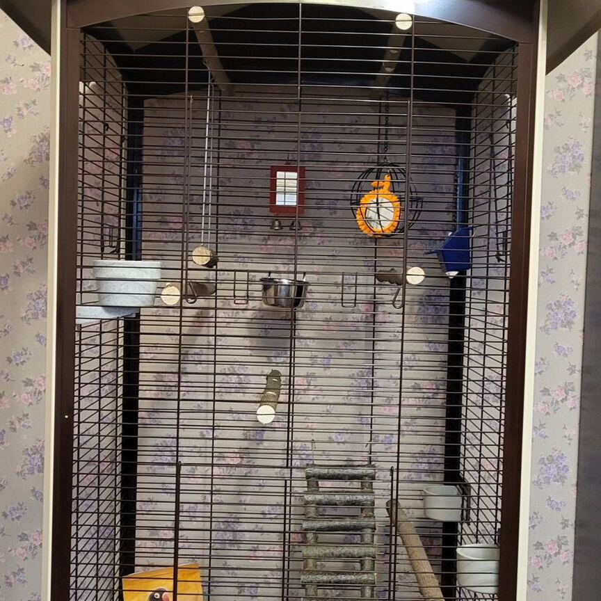 Клетка для крупного попугая