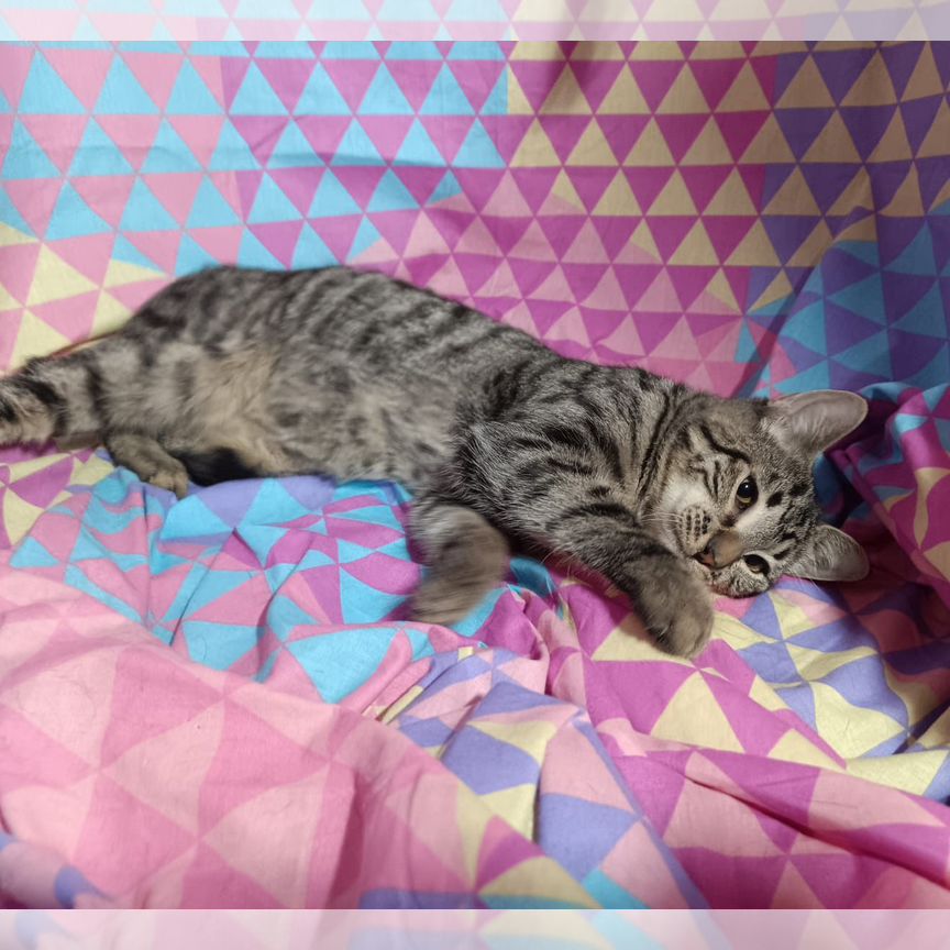 Ласковая и нежная Бетм