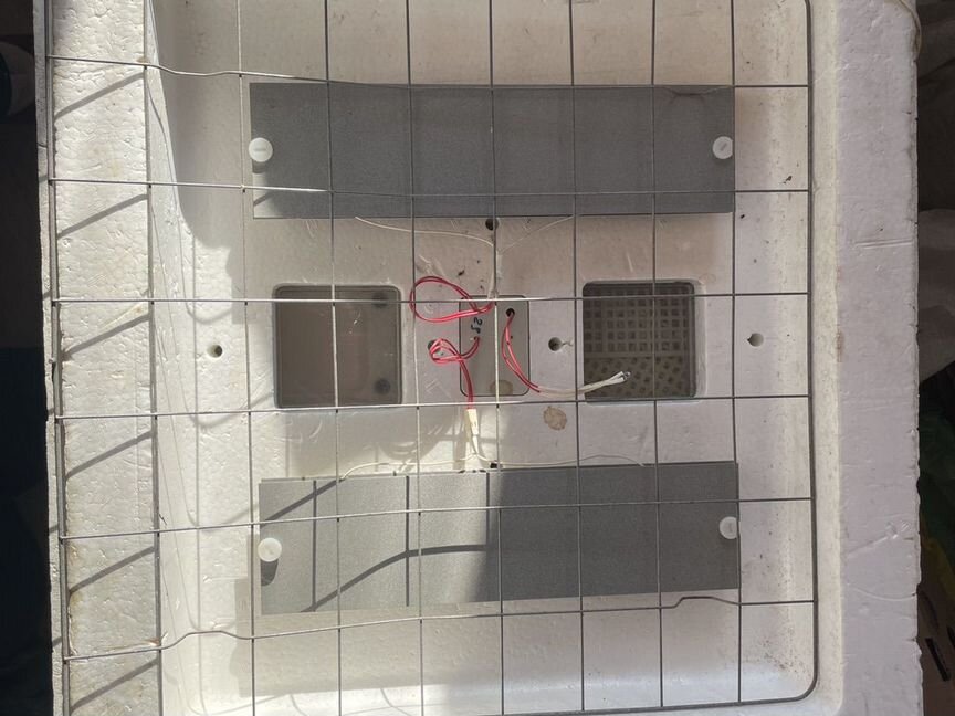 Инкубатор для яиц