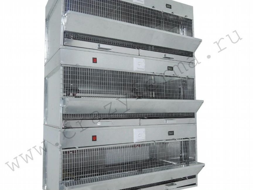 Брудер с терморегулятором на 150 цыплят