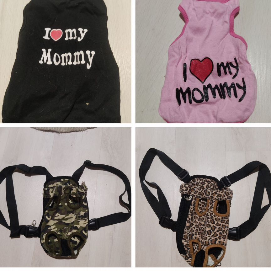 Одежда для чихуахуа