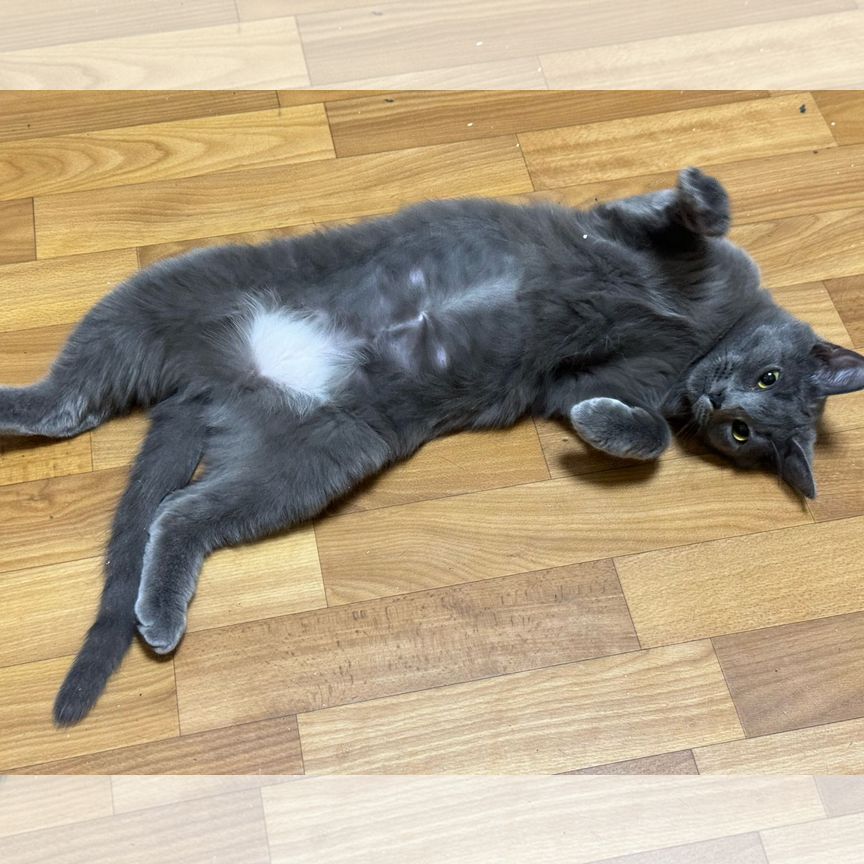 Ласковая девочка, 7 месяцев