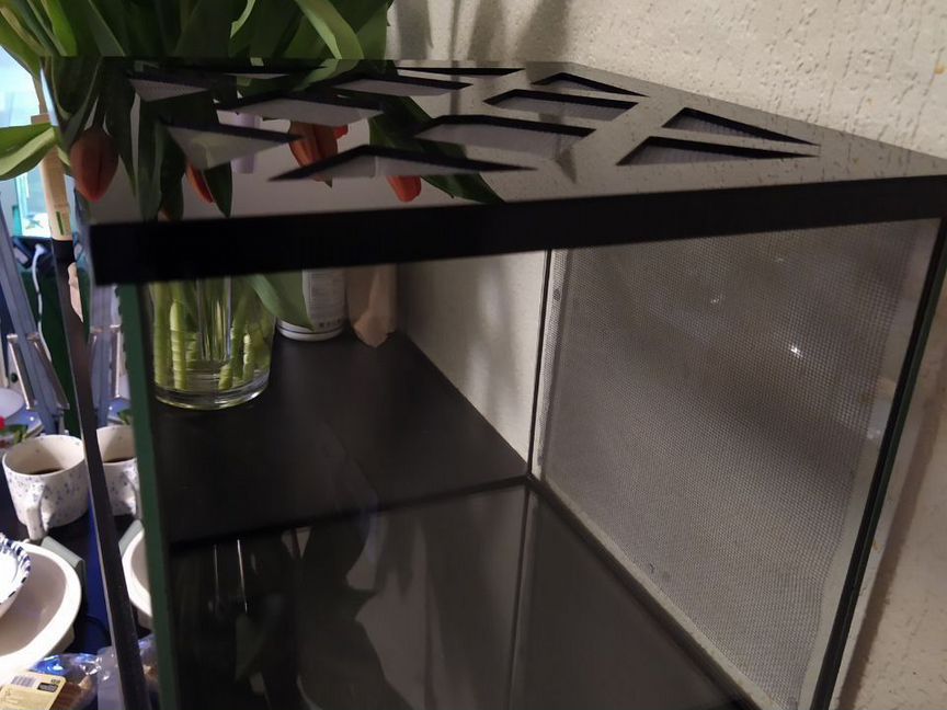 Террариум, инсектарий для пауков, богомолов