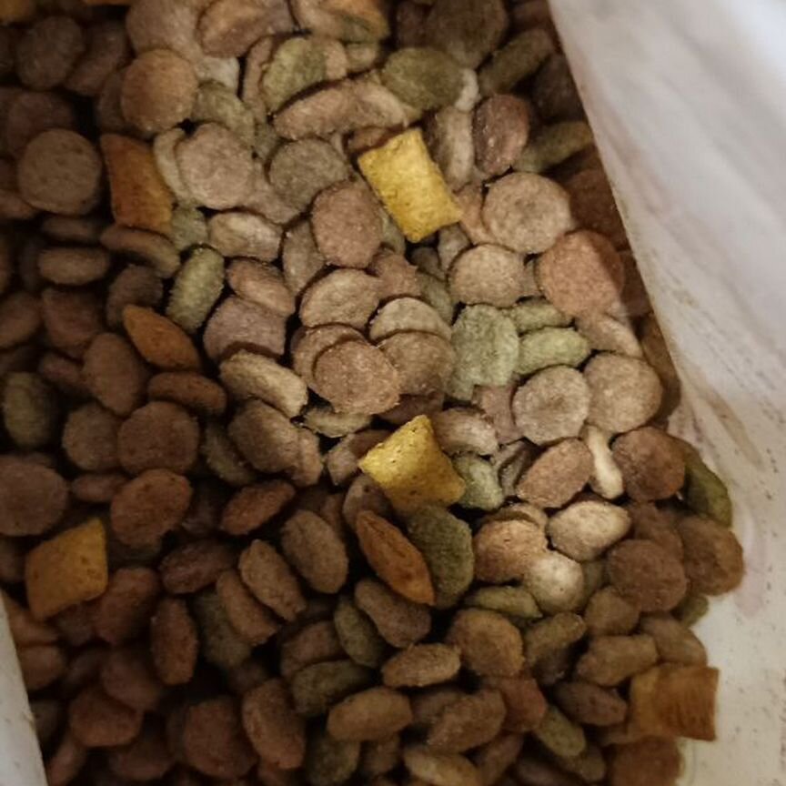 Сухой корм для кошек