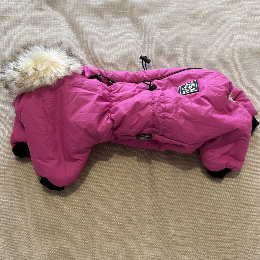 Одежда для собак