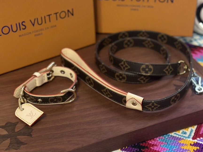 Ошейник для собак (разные размеры) LV