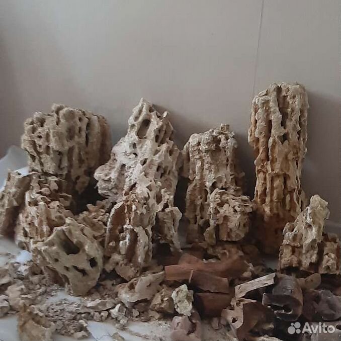 Песчанник, декор в аквариум)