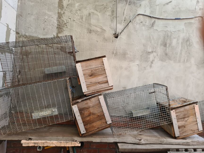 Клетки для кроликов бу