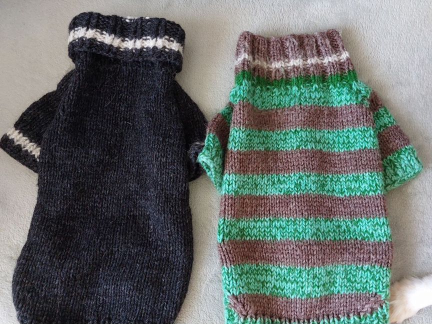 Бронь до 15.10 Одежда для маленьких собак