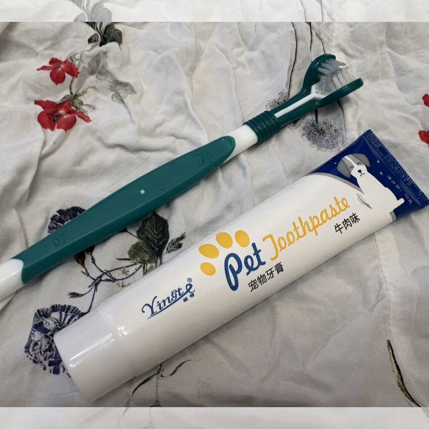 Зубная паста для собак