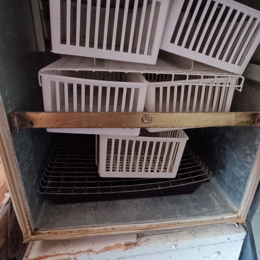 Инкубатор для яиц автоматический