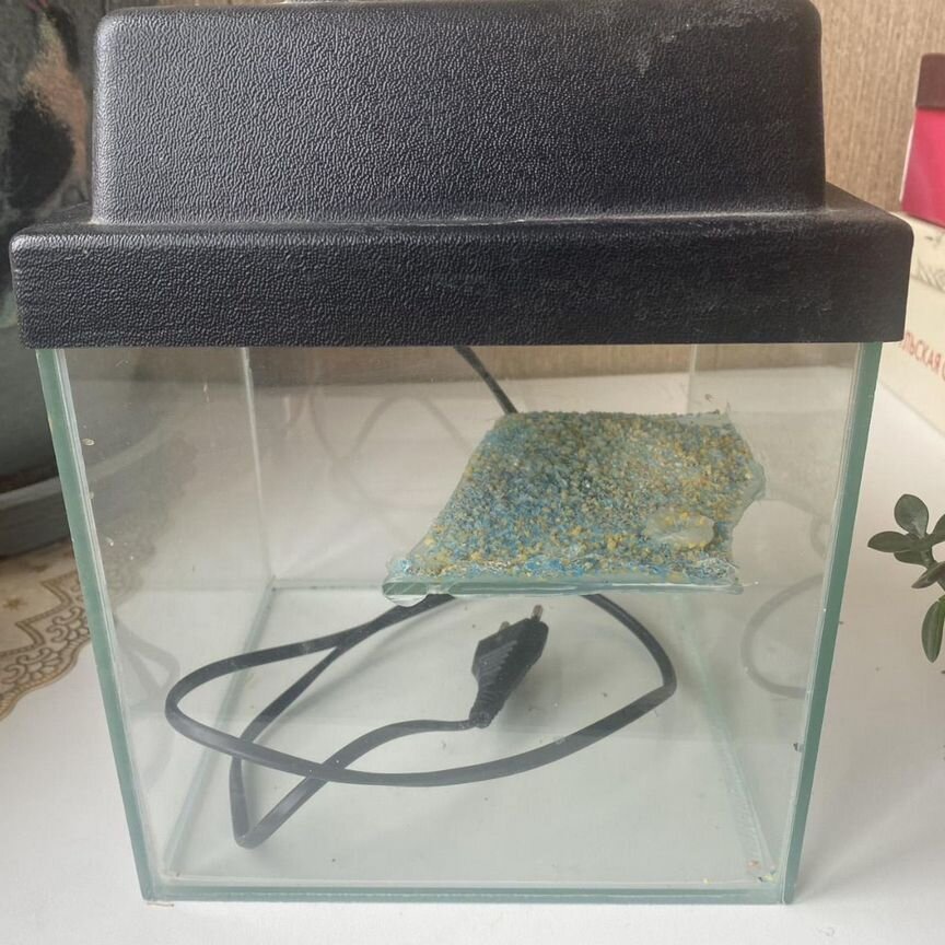 Аквариум для черепахи краба